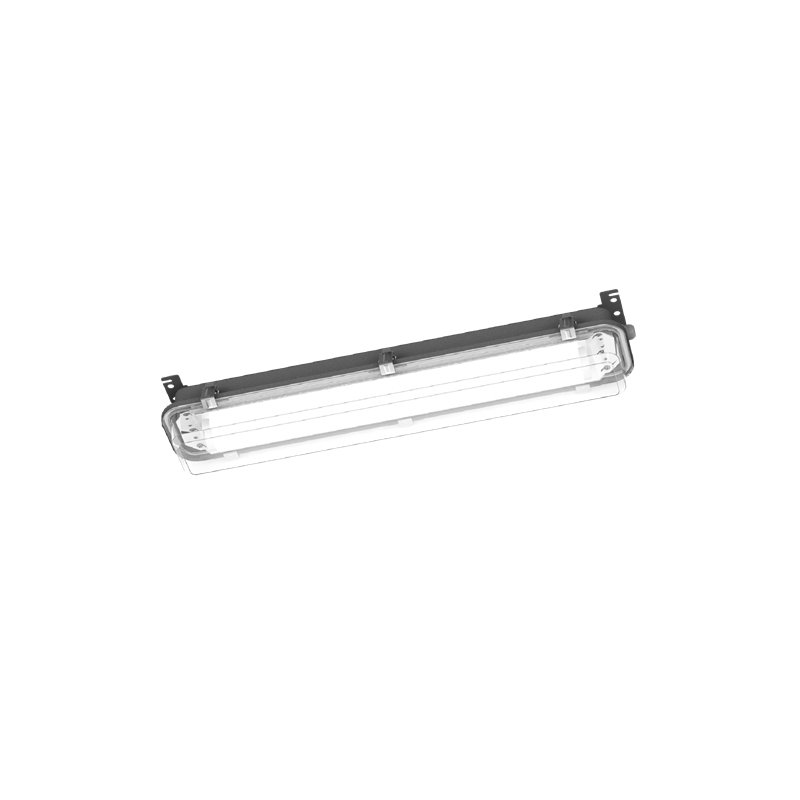 Ex Linear light fitting Zone 21, 2/22